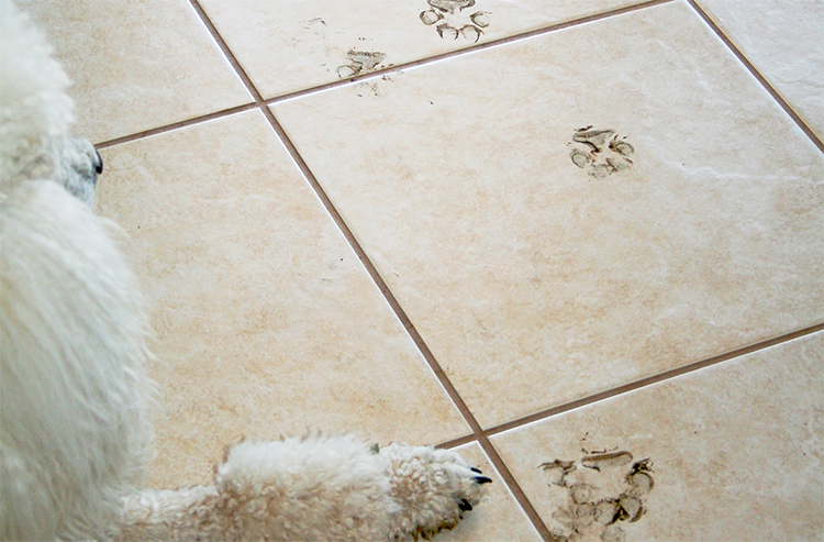 DEEBOT: Robot Vacuums for Pet Hair-ECOVACS Website